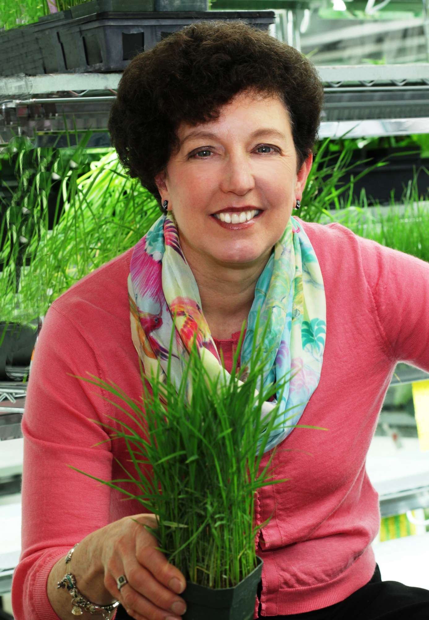 Marrone Bio Innovations Announces Registration of Bioinsecticide ...