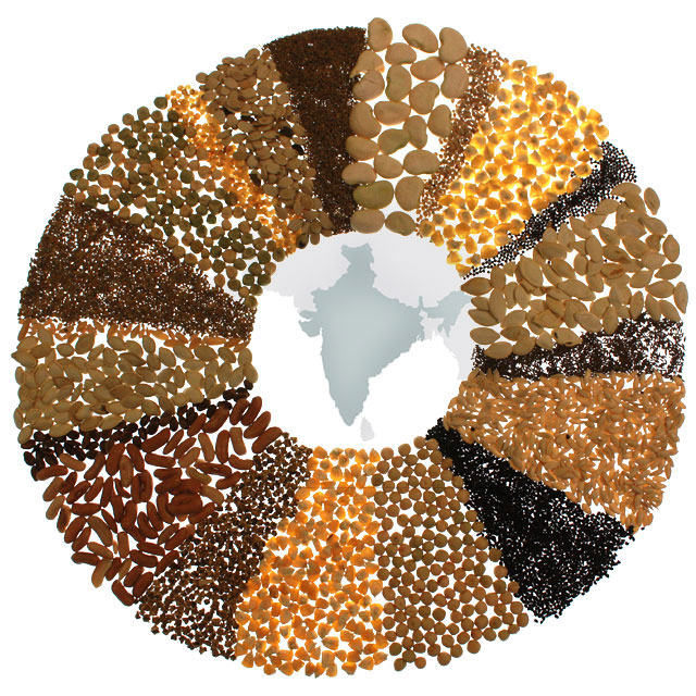 India’s Consolidating Seed Sector - AgriBusiness Global