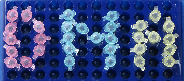 Bayer Gets Ceres DNA Software - AgriBusiness Global