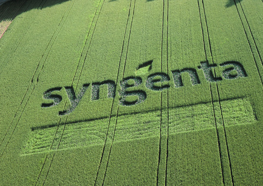 Syngenta Unveils Pipeline at R&D Day - AgriBusiness Global
