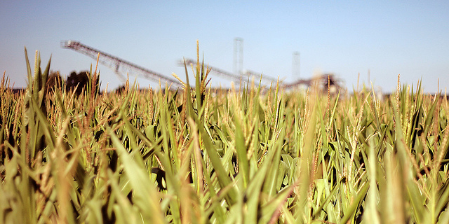 Cheminova Launches Bestow Herbicide in U.S. - AgriBusiness Global