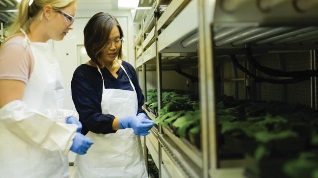DuPont's Pipeline Includes New Fungicide, Insecticide and Nematicide ...